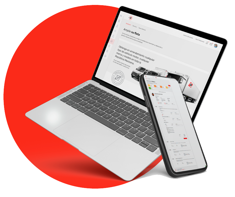 Servicios - TIP México