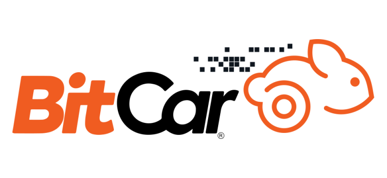 BitCar - Leasing vehicular para particulares